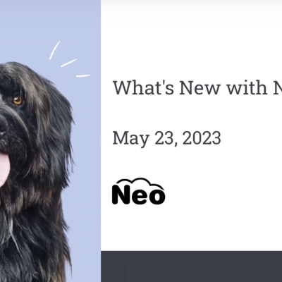 Cloud Based Veterinary Practice Software | IDEXX Veterinary Software